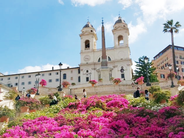 Blooming of azaleas in the Spanish Steps: a symbol of the arrival of ...