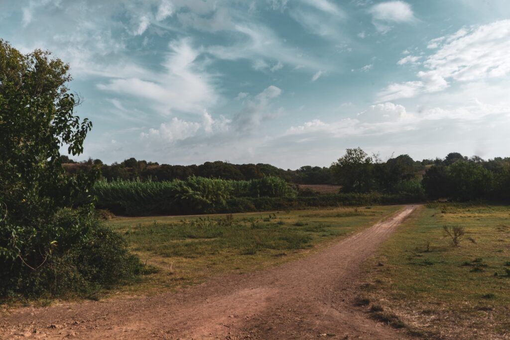 Free bus and metro for Christmas shopping in Rome 2022